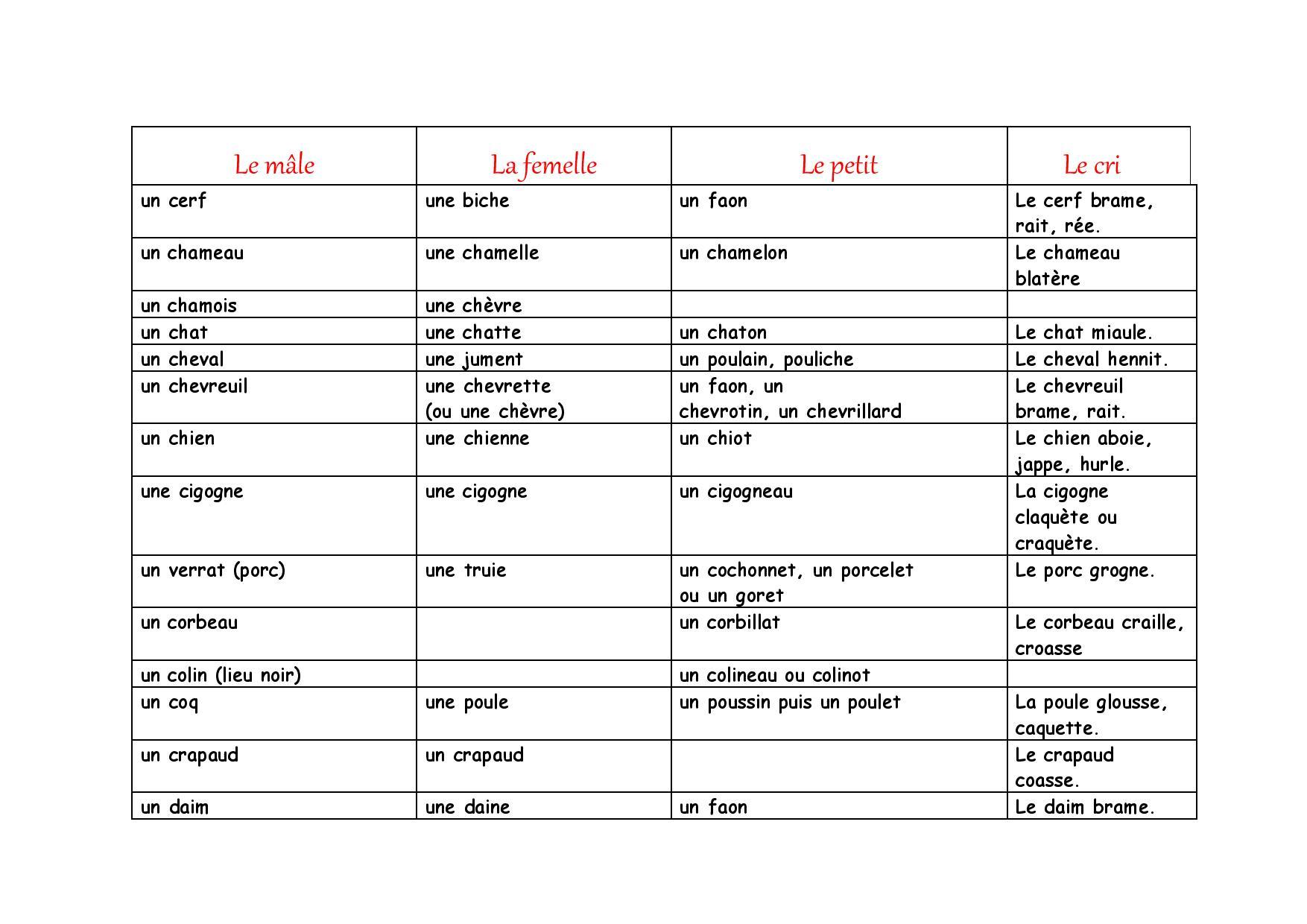Les animaux 7éme année - النجاح و التميز
